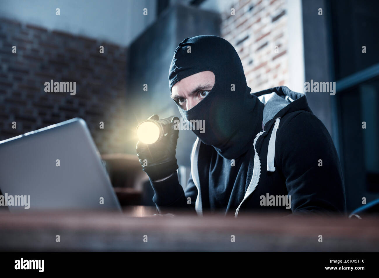 Computer burglar stealing computer data Stock Photo - Alamy