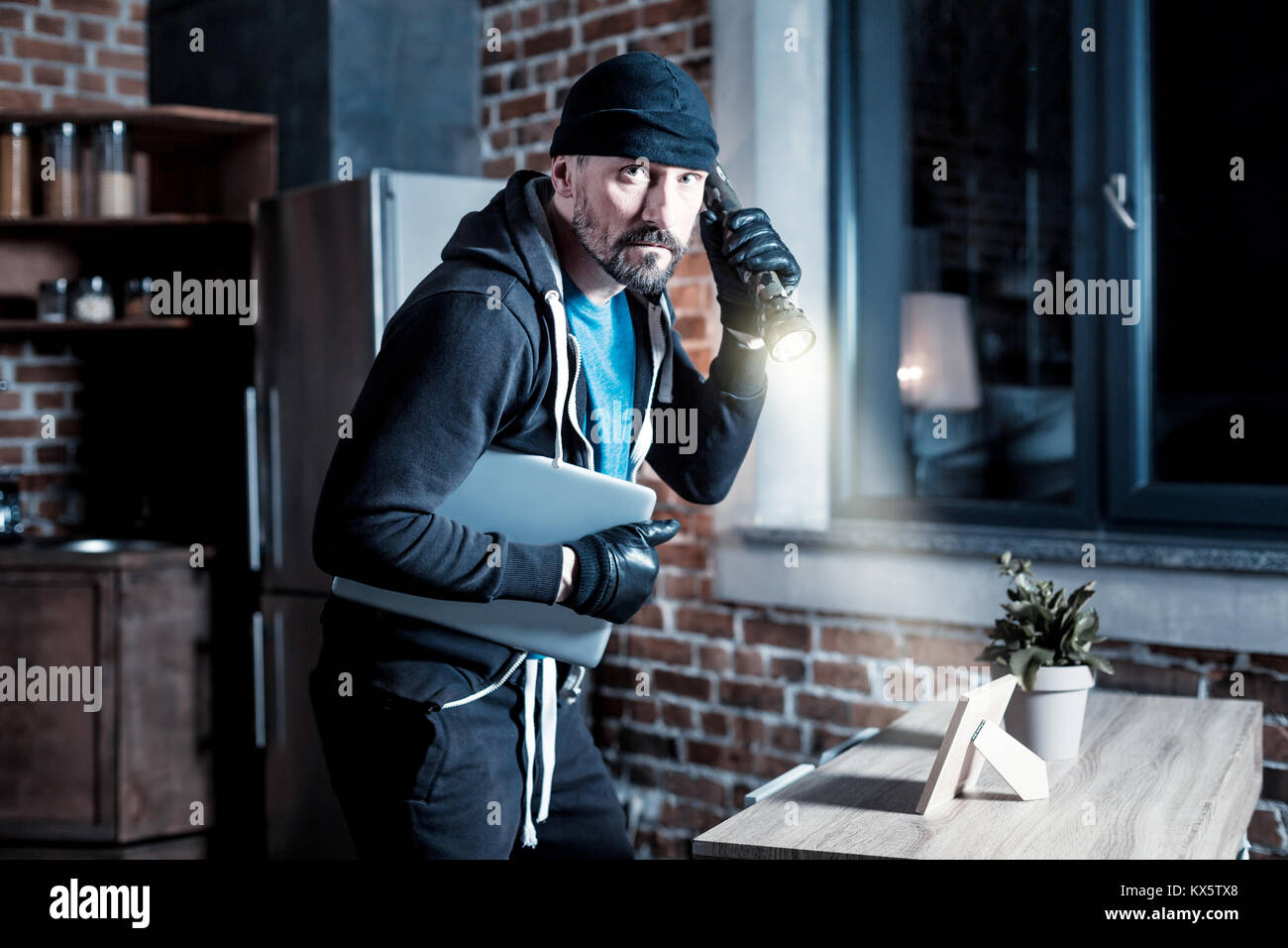 Concentrated burglar taking away a laptop Stock Photo - Alamy