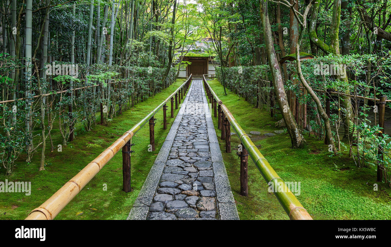Koto in temple kyoto autumn hi-res stock photography and images - Alamy