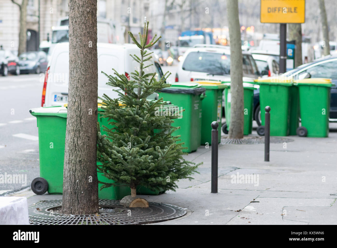 Unwanted christmas trees hi-res stock photography and images - Alamy