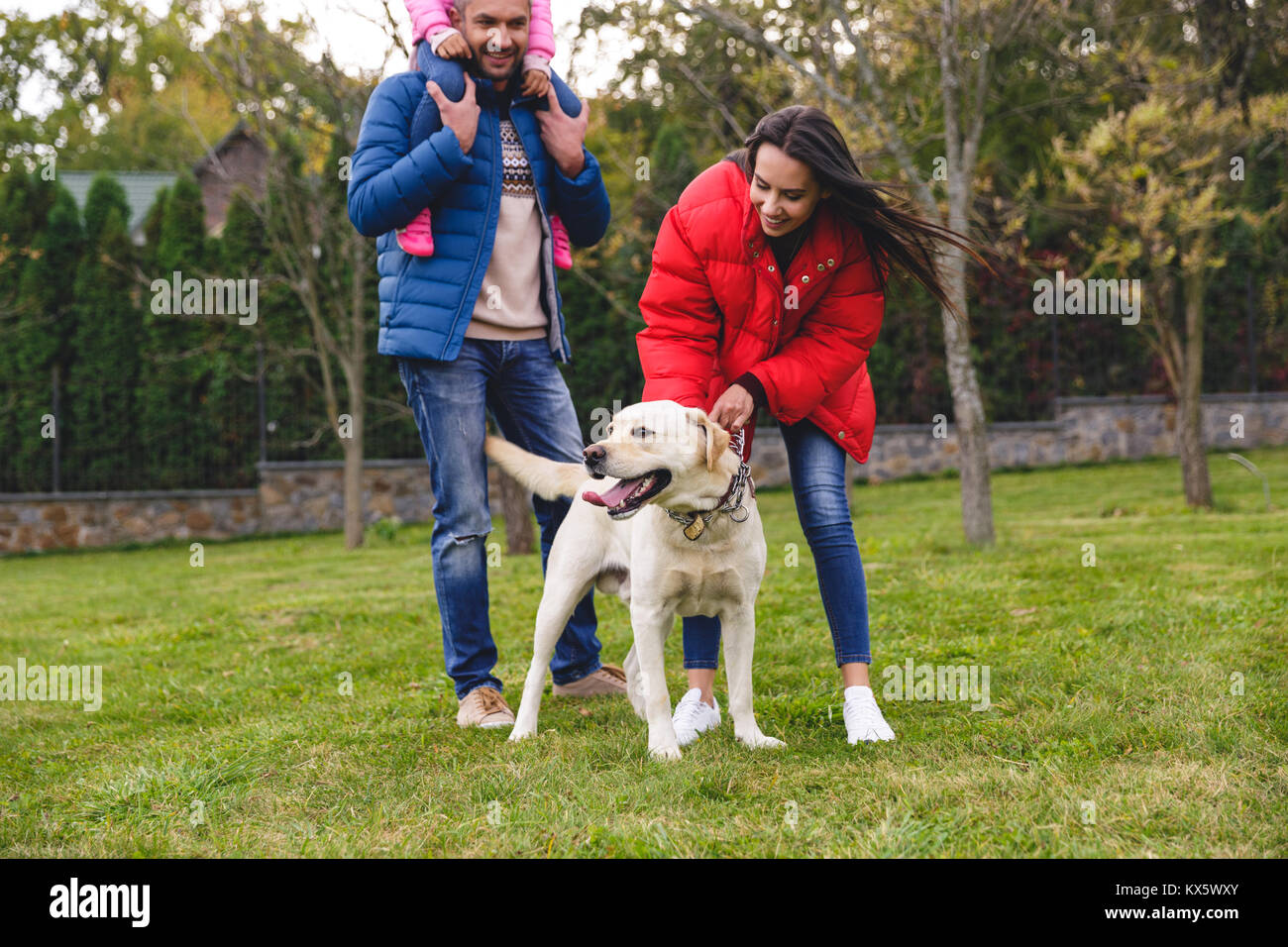 Labrador retriever dad hi-res stock photography and images - Alamy
