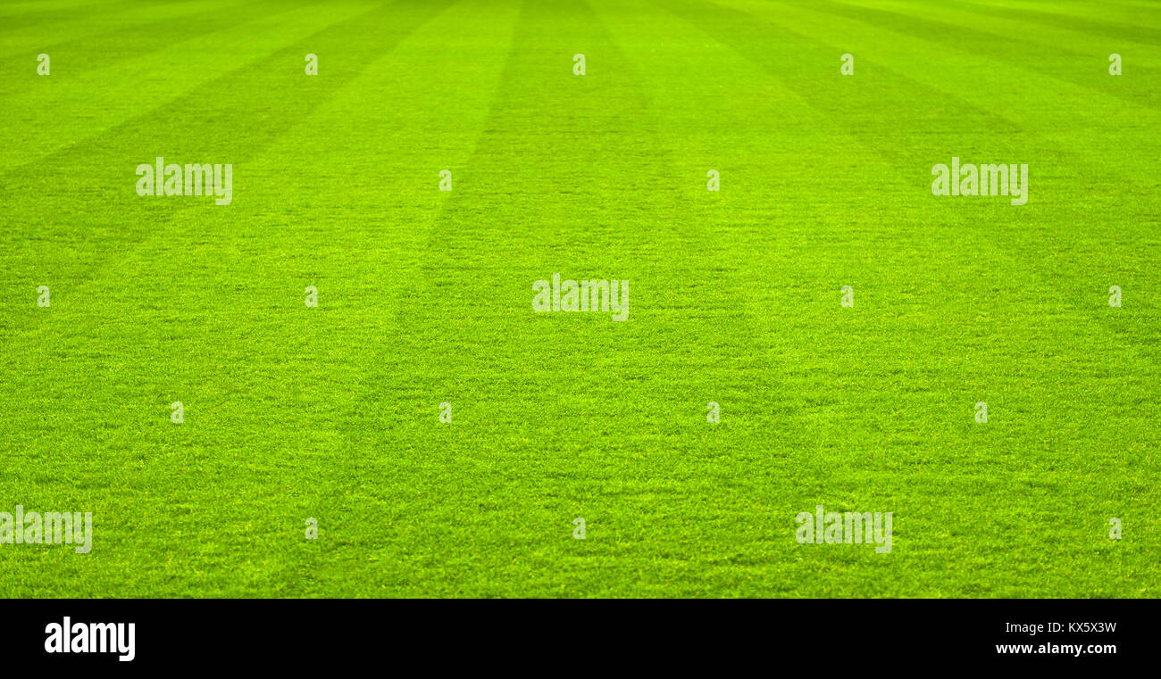 green grass soccer playing field Stock Photo - Alamy