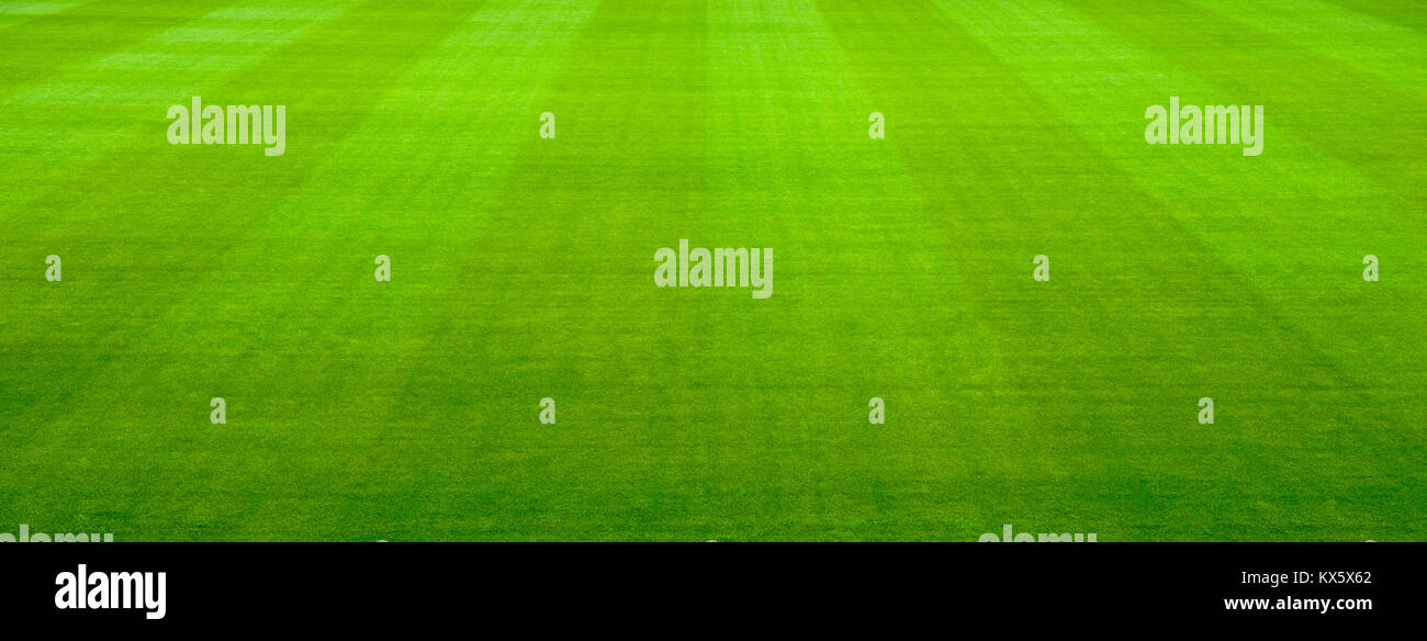 green grass soccer playing field Stock Photo - Alamy
