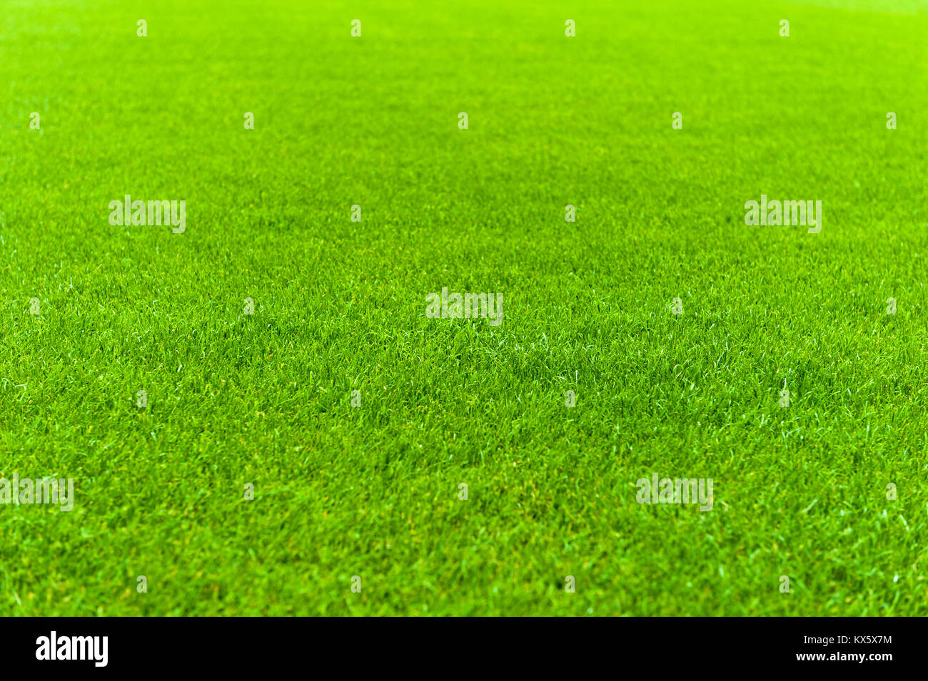 green grass soccer playing field Stock Photo - Alamy
