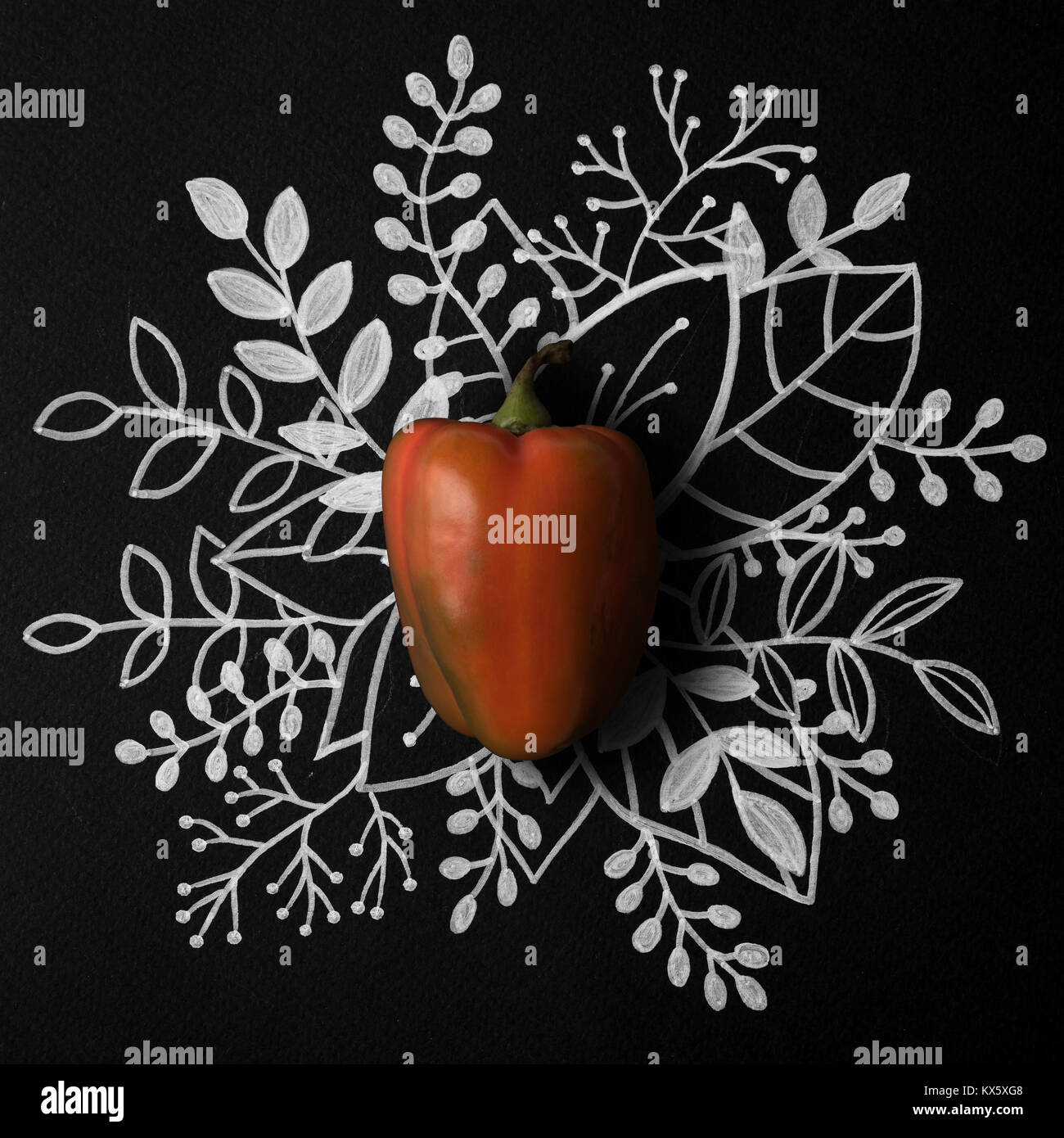 Red bell pepper over outline floral hand drawn background Stock Photo ...