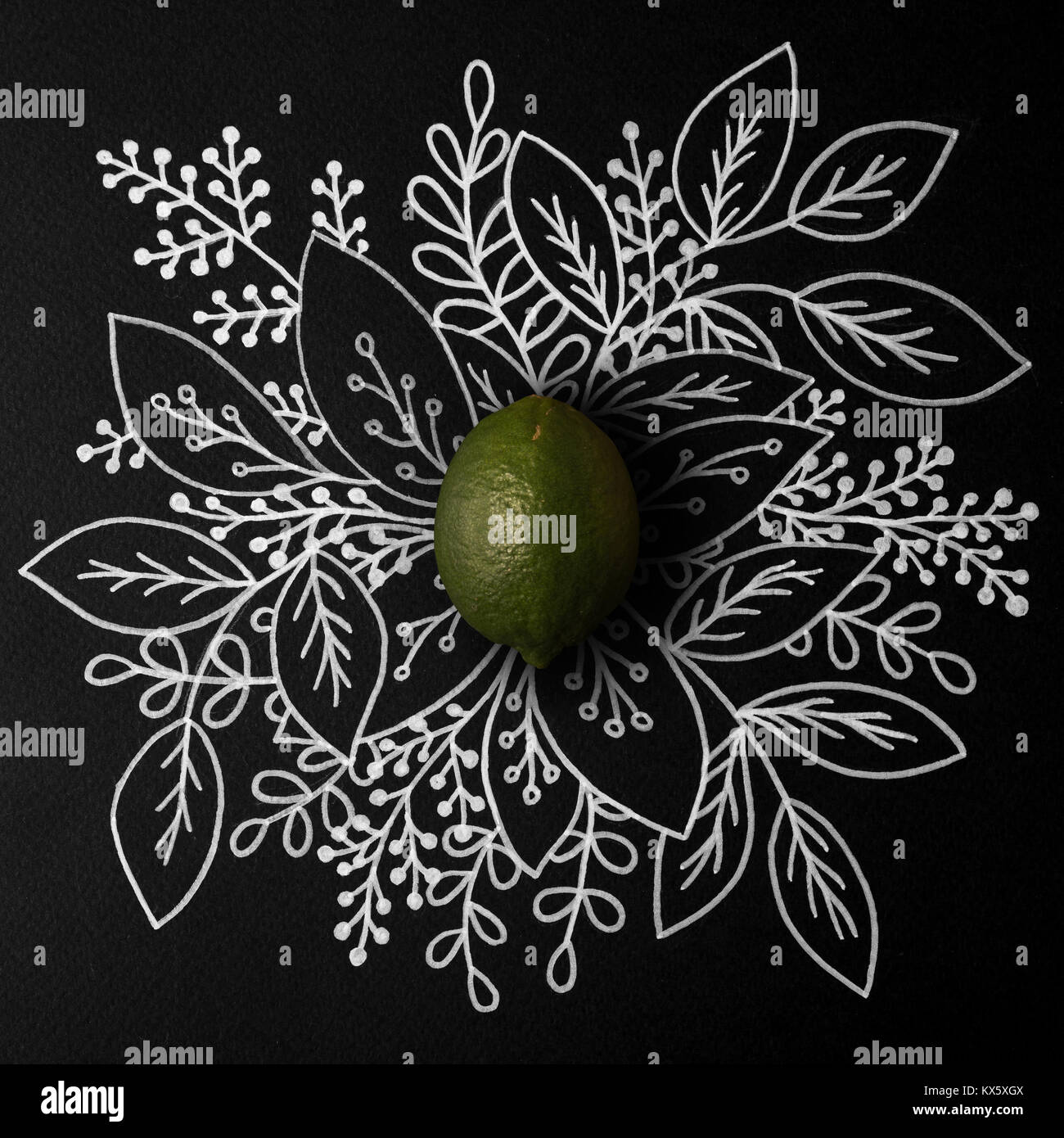 Lime over outline floral hand drawn background Stock Photo - Alamy