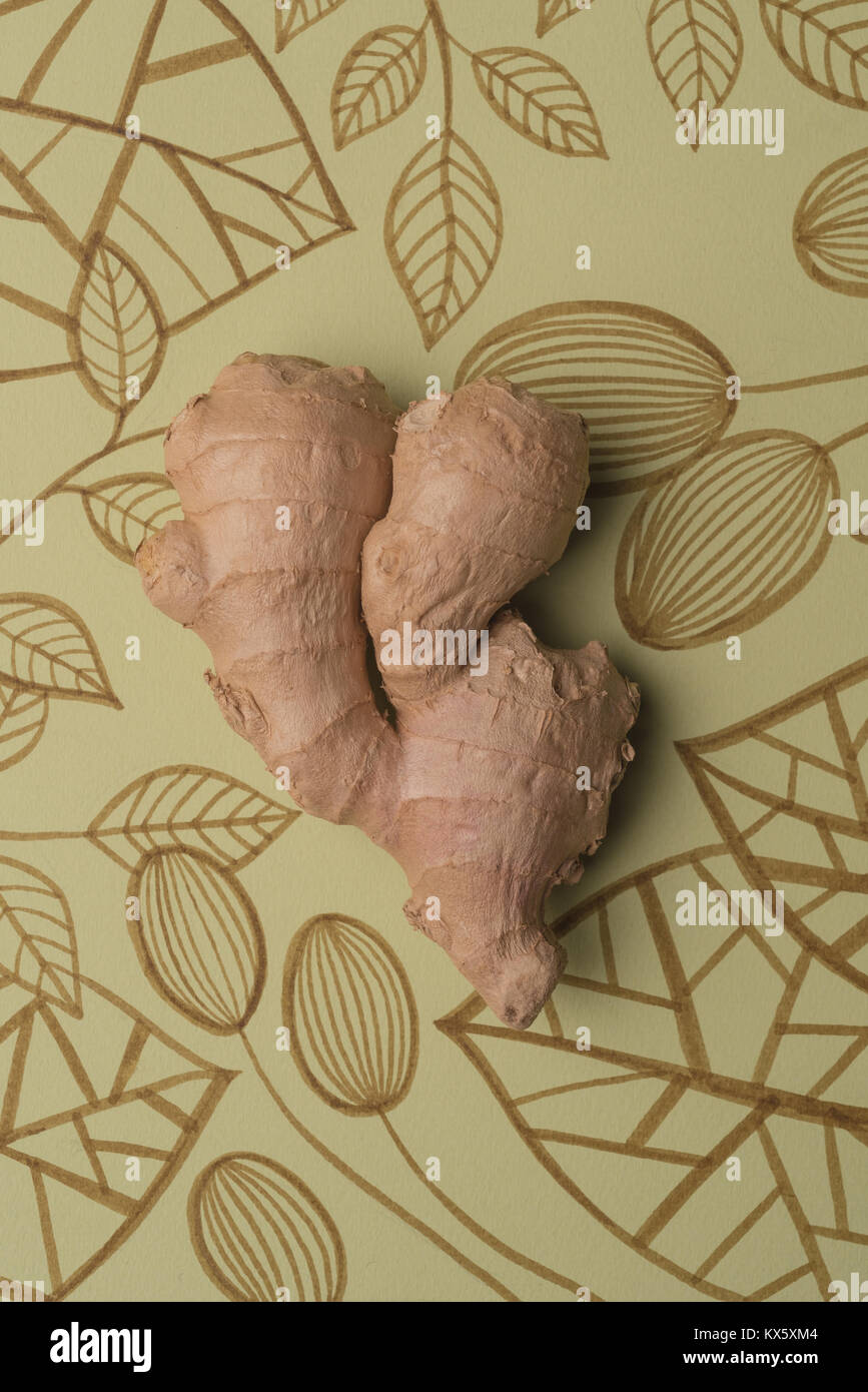 Ginger over outline floral drawn background Stock Photo - Alamy