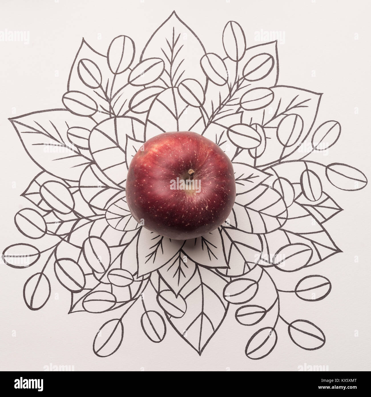 Red apple over outline floral hand drawn background Stock Photo - Alamy