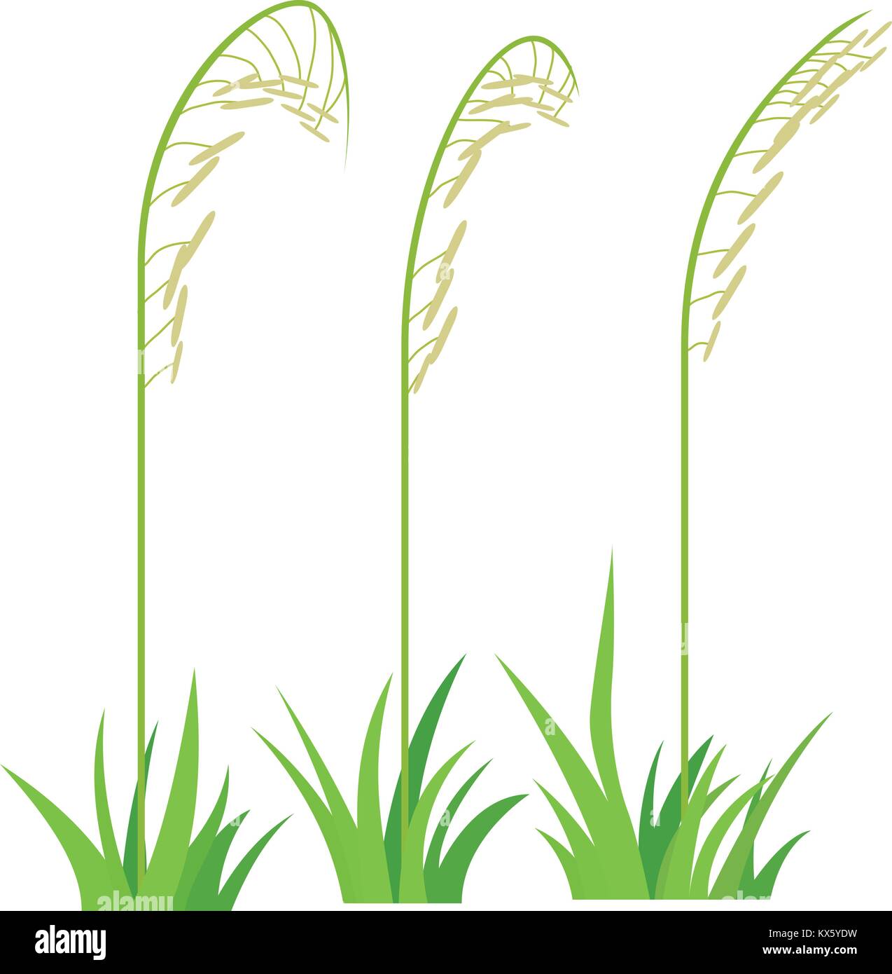 Three plants icon, cartoon style Stock Vector Image & Art - Alamy