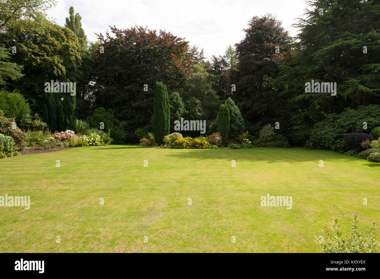 Rear garden with trees and borders Stock Photo - Alamy