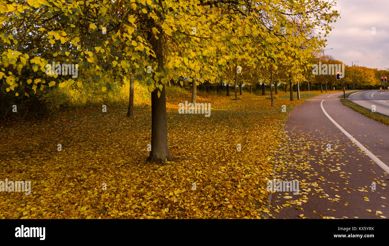 Harlow essex hi-res stock photography and images - Alamy
