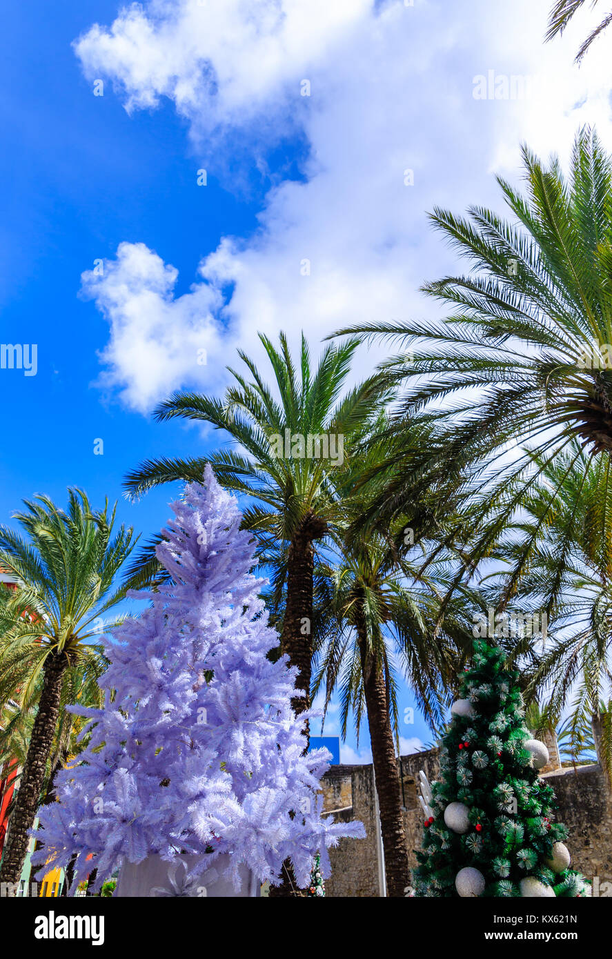 Decorated Christmas Trees and Tropical Palm Trees Stock Photo - Alamy