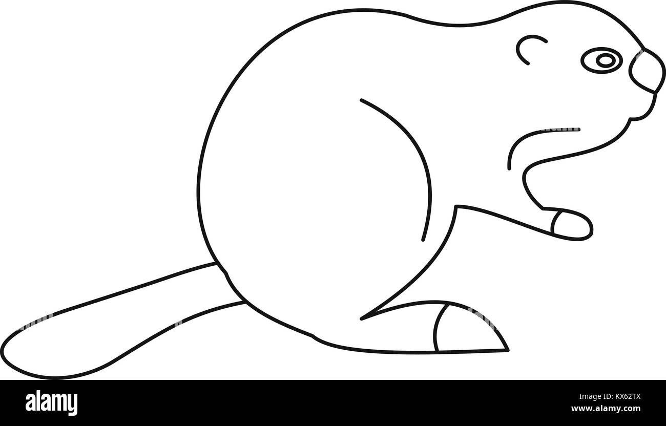 Canadian beaver beaver dam canadensis Black and White Stock Photos ...