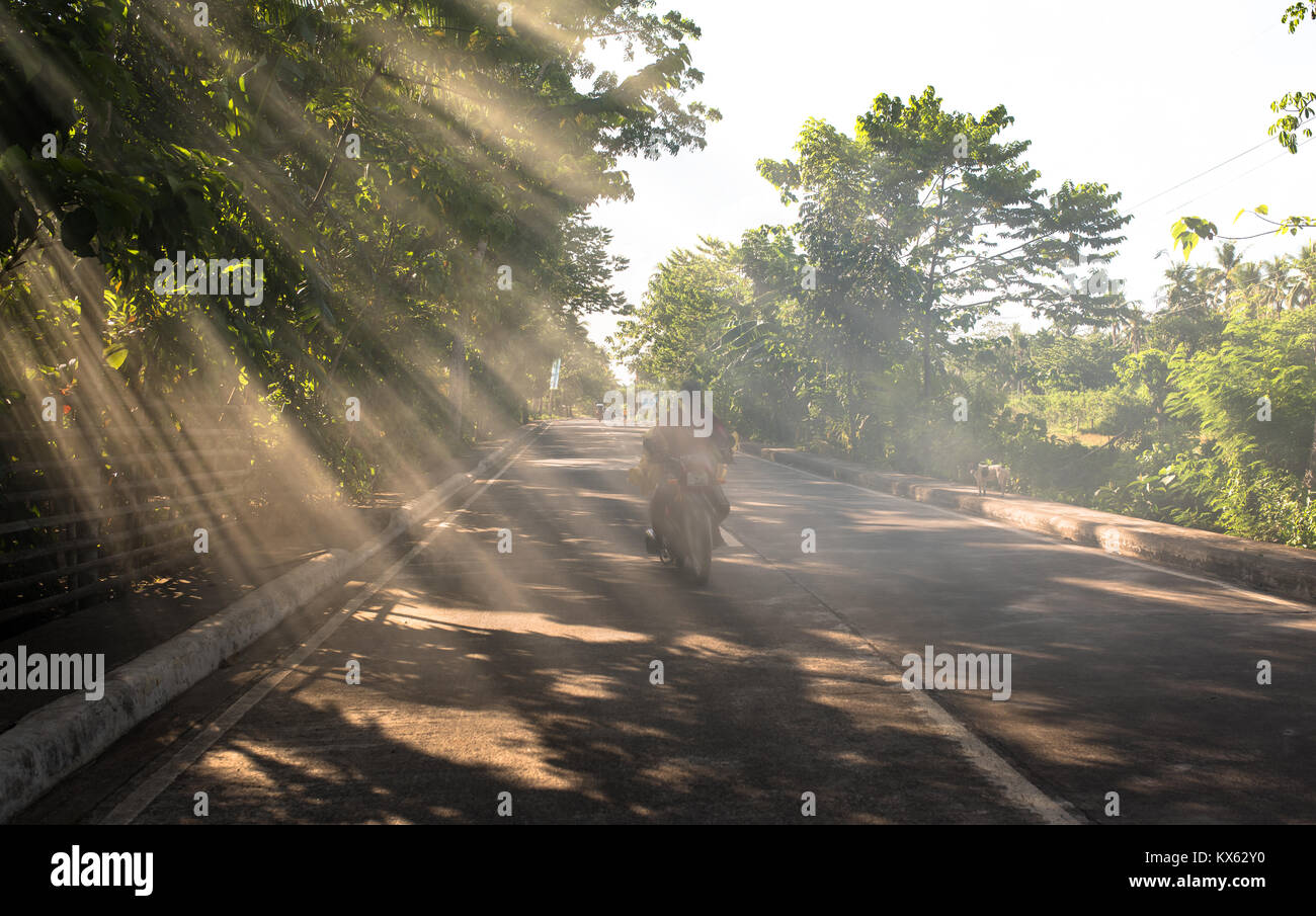 light rays falling on the road Stock Photo - Alamy
