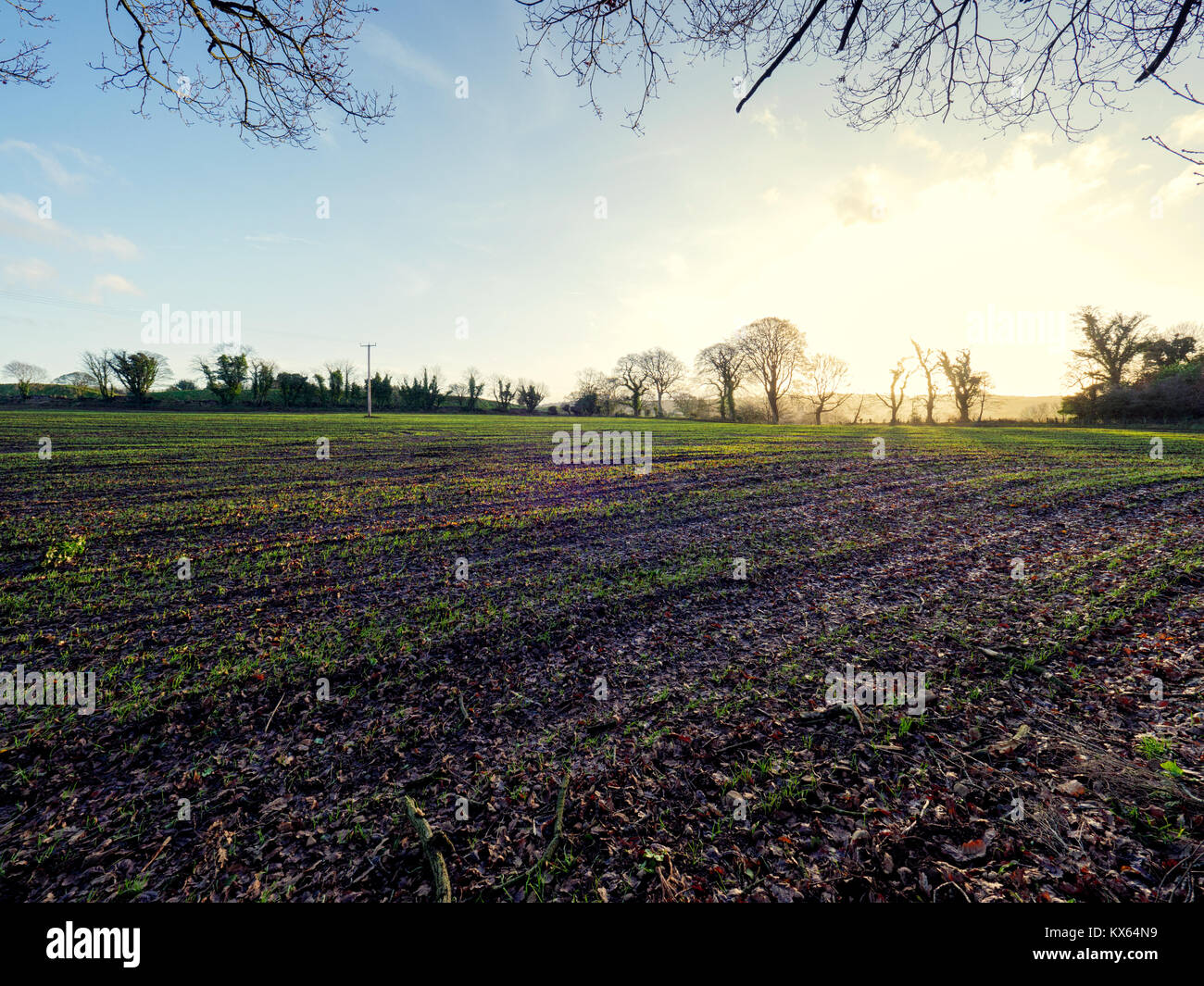countryside morning,Northern Ireland Stock Photo - Alamy