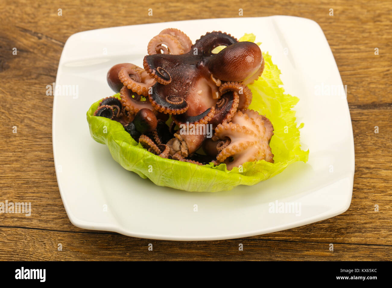 Boiled baby octopuses over salad leaves Stock Photo - Alamy