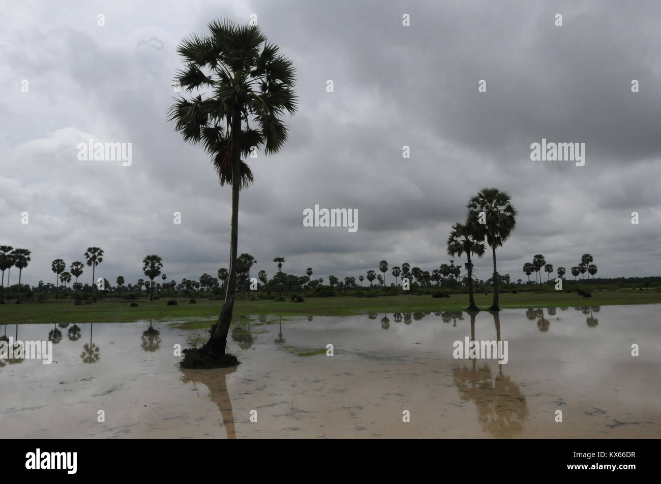 AMPONG SPEU PROVINCE, Cambodia - Angkor Sentinel 2011 officially opened ...