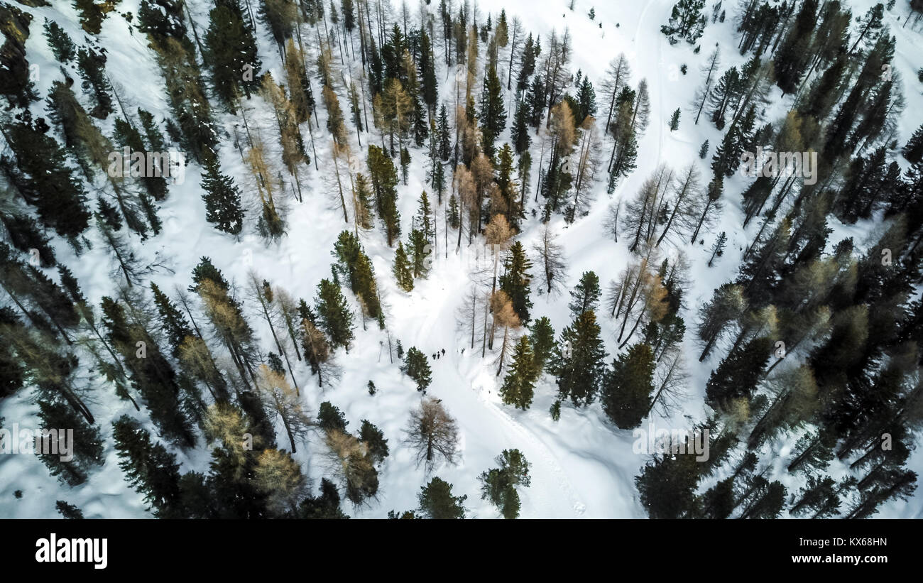 Aerial pine trees alps hi-res stock photography and images - Alamy
