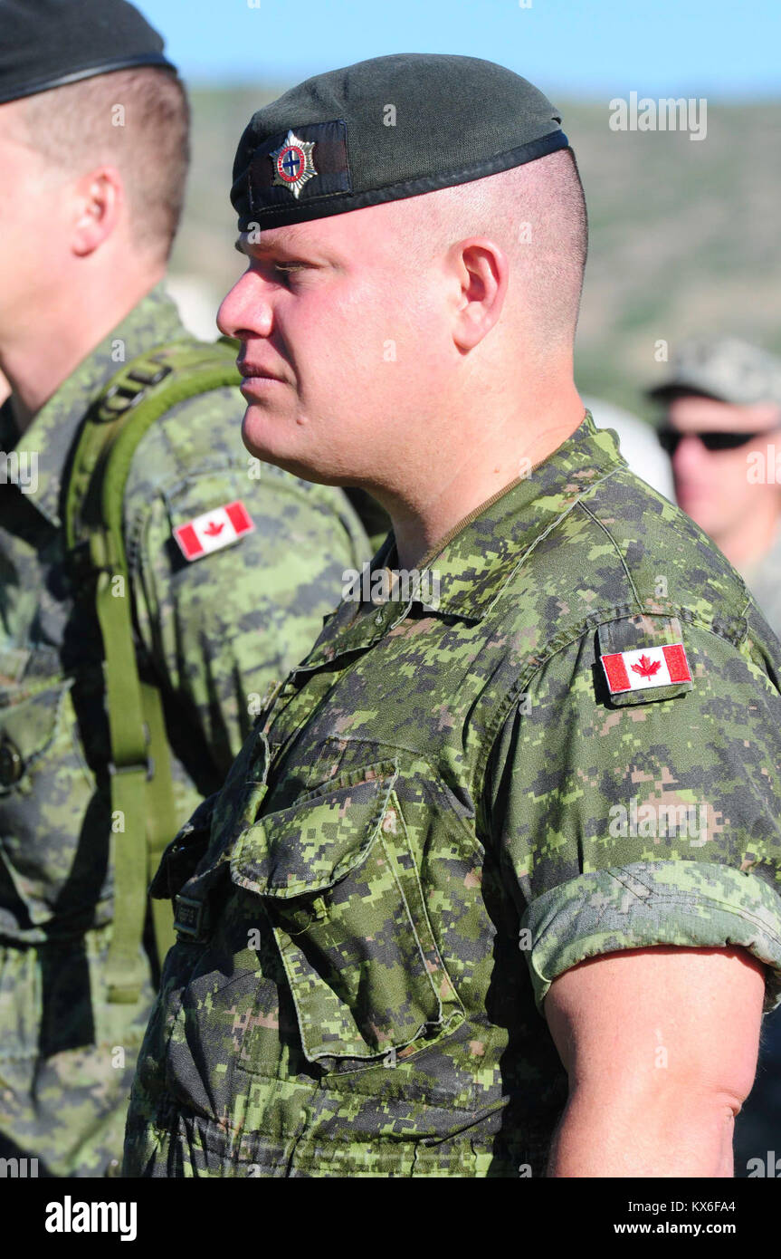 Canadian Soldiers stand in formation during an administrative briefing ...