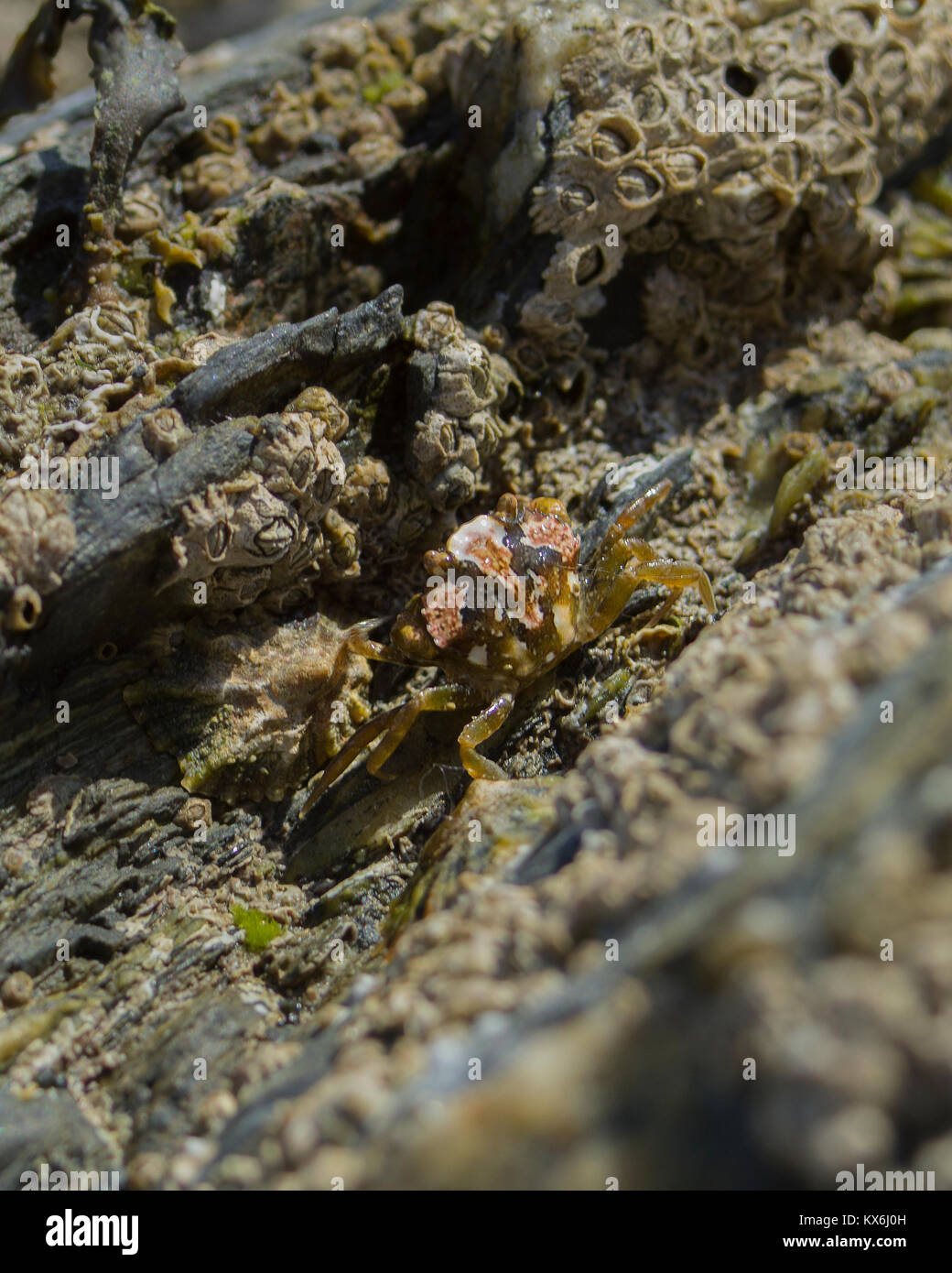 Underwater survey hi-res stock photography and images - Alamy