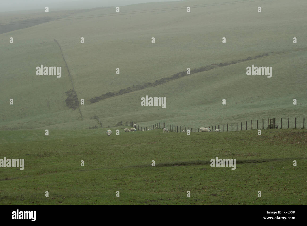 Welsh hills and farms Stock Photo - Alamy