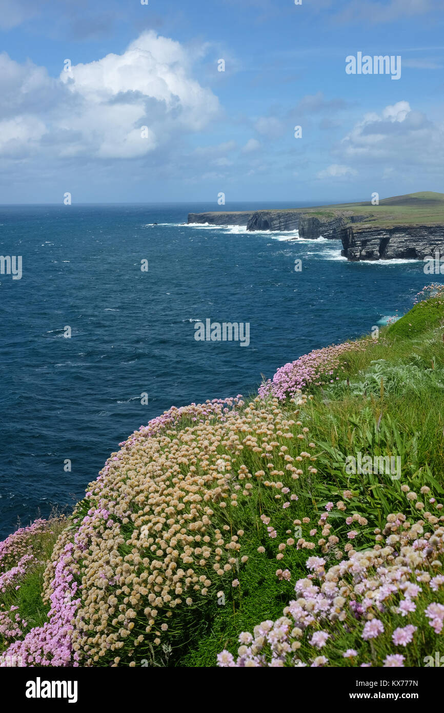 County Clare, Ireland. 03rd June, 2017. The Loop Head peninsula with ...