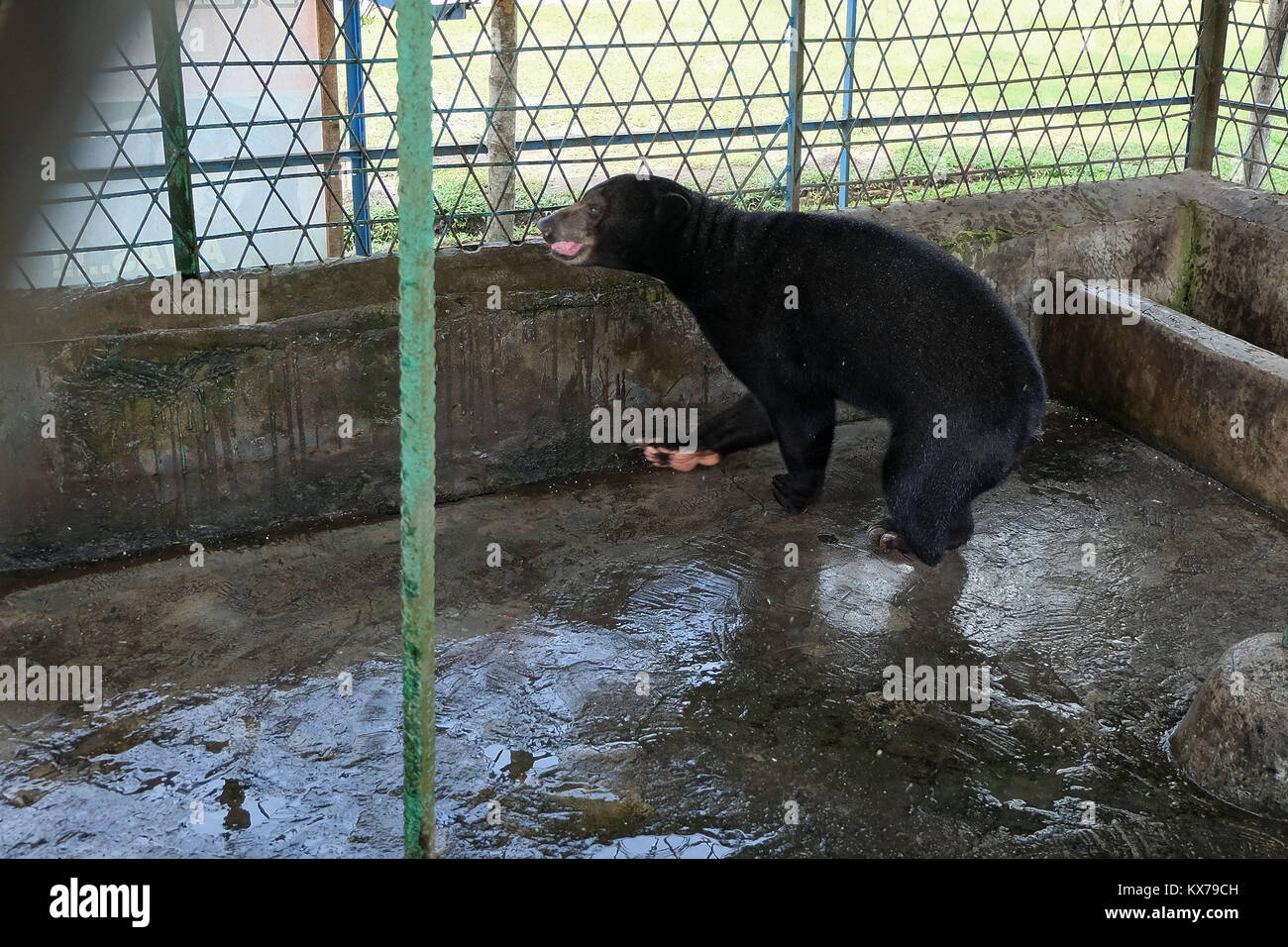 Broken zoo hi-res stock photography and images - Alamy