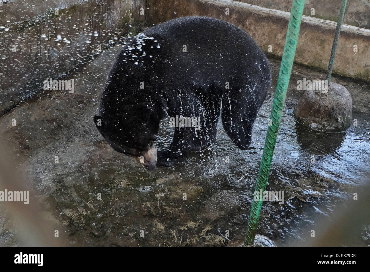 Broken zoo hi-res stock photography and images - Alamy