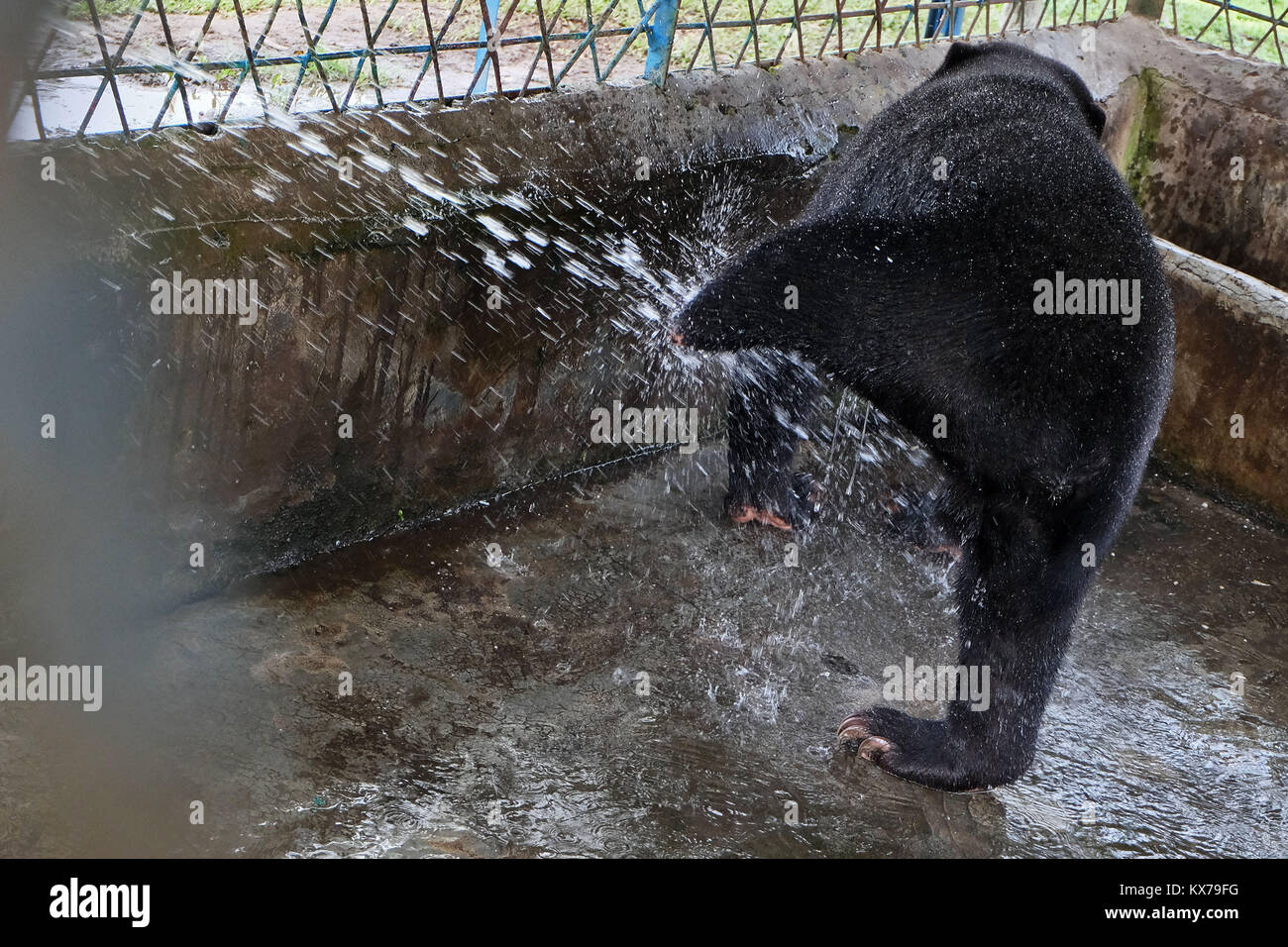 Broken zoo hi-res stock photography and images - Alamy