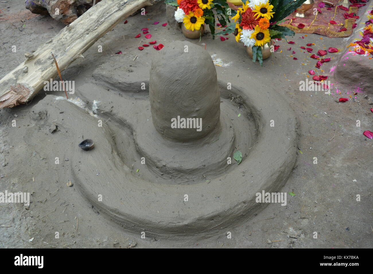 Kolkata, India. 08th Jan, 2018. Camping Naga Sadhus, devotees, rituals ...
