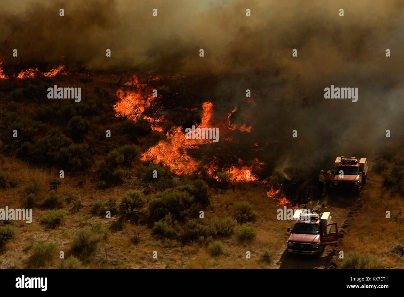 Members of the Utah fire department assist in fighting fires in ...