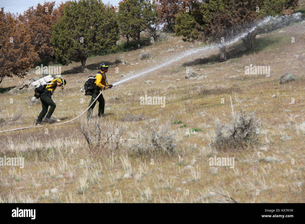 Several federal and local jurisdictions participated in a BLM-sponsored ...