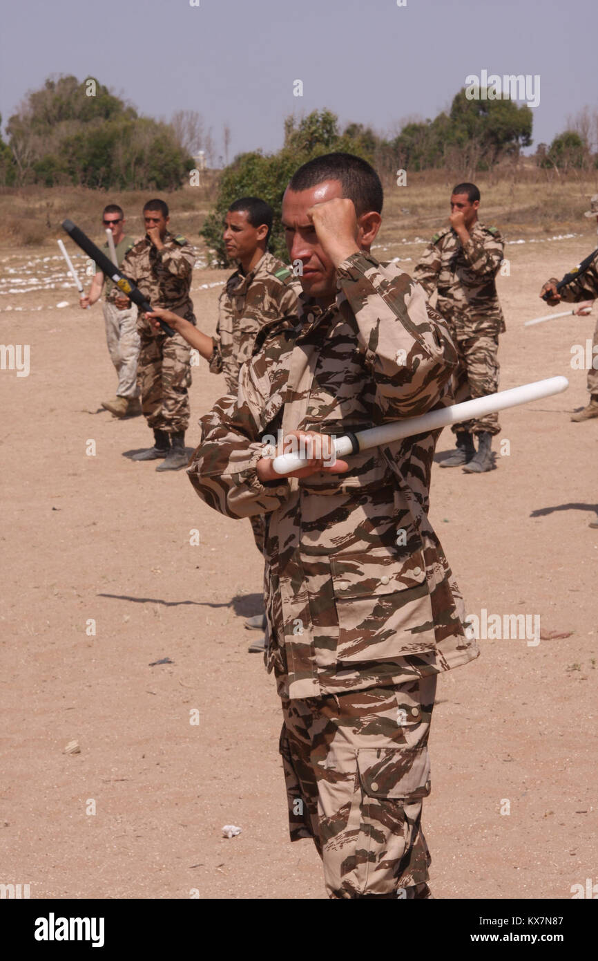 U.S. Army combat training in the desert with allies and military ...