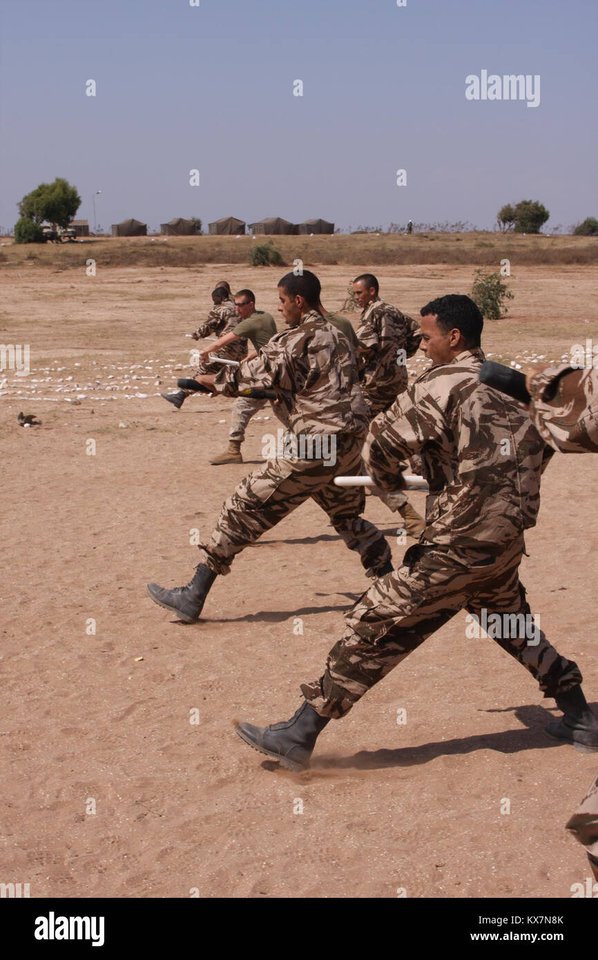U.S. Army combat training in the desert with allies and military ...