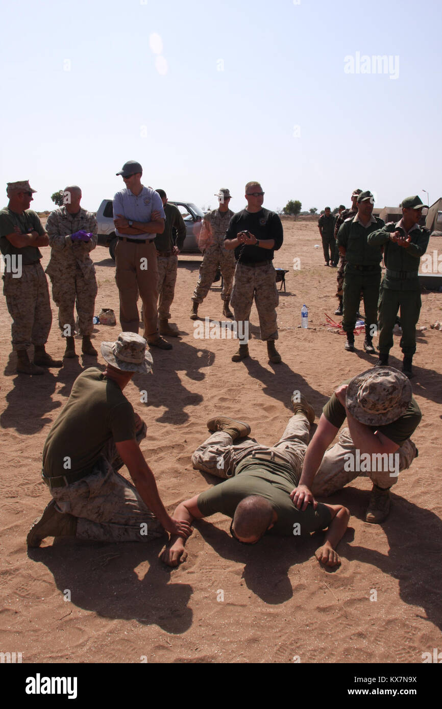 U.S. Army combat training in the desert with allies and military ...
