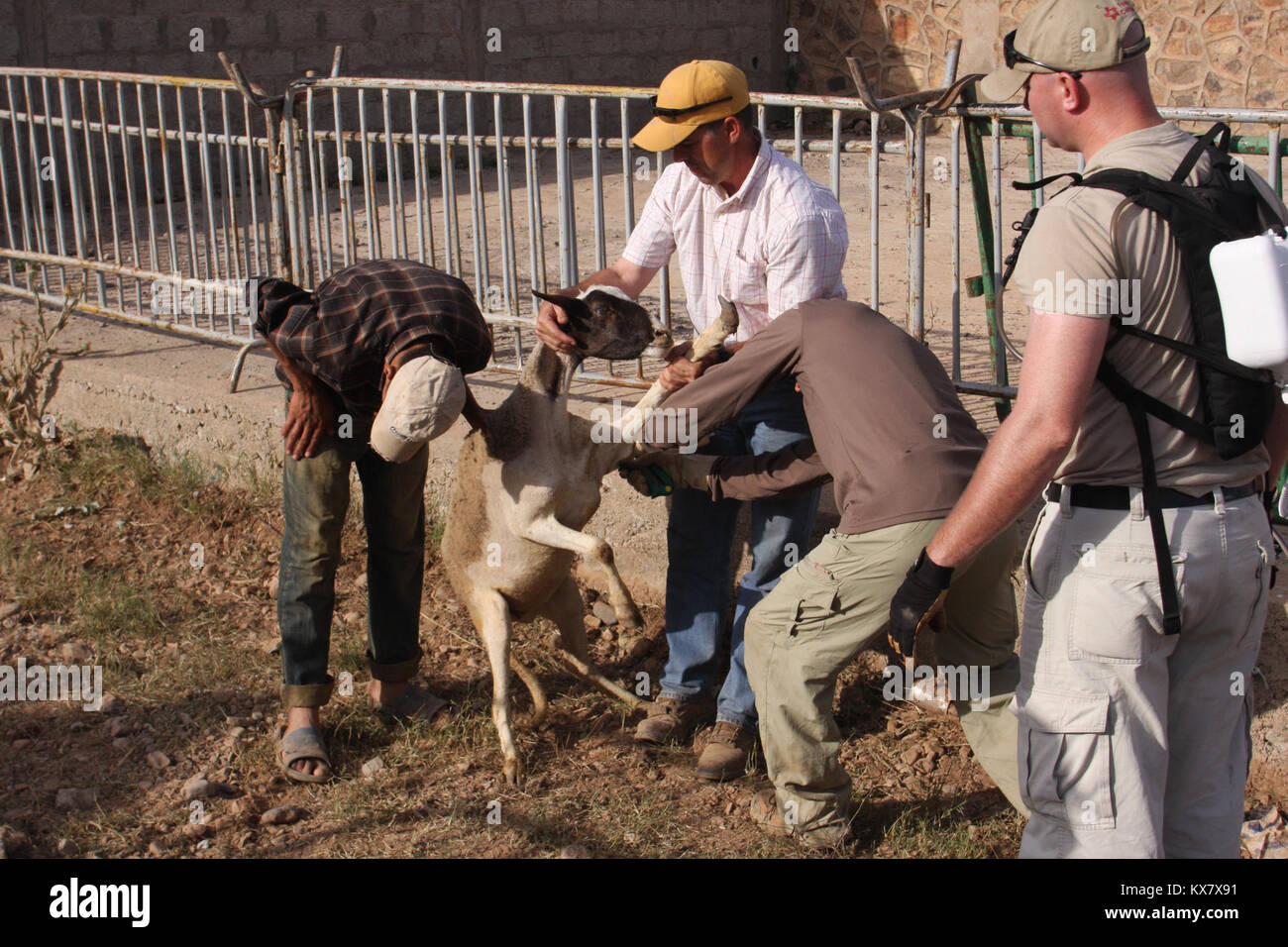 US Army National Guard carrying out various tasks including military ...