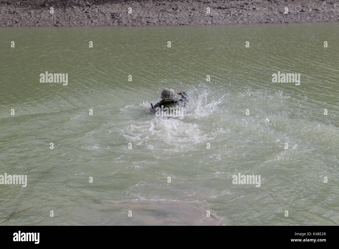 US Army National Guard river crossing teamwork Stock Photo - Alamy