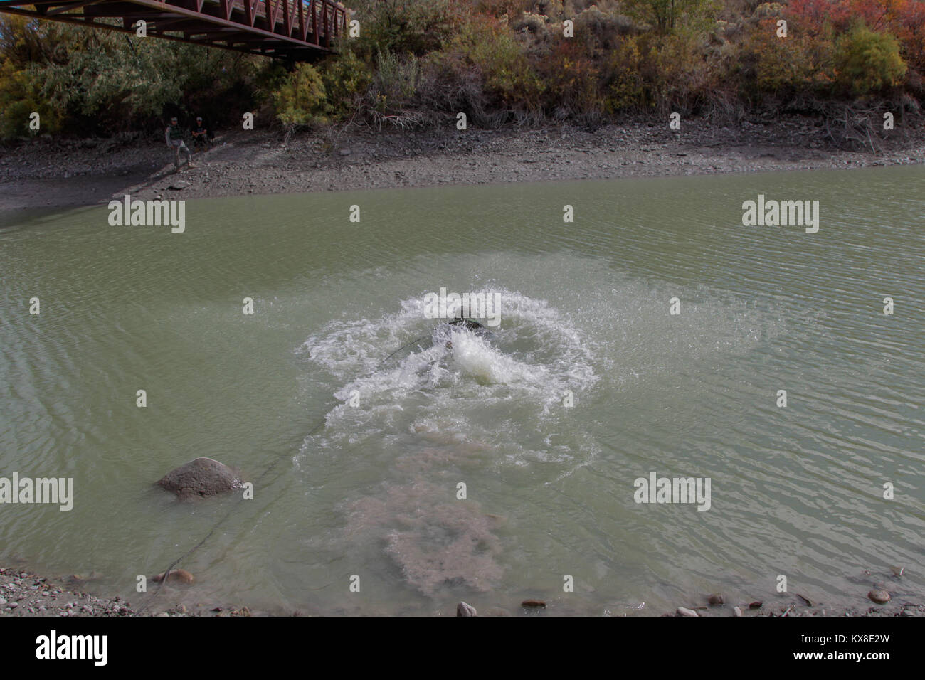 US Army National Guard river crossing teamwork Stock Photo - Alamy
