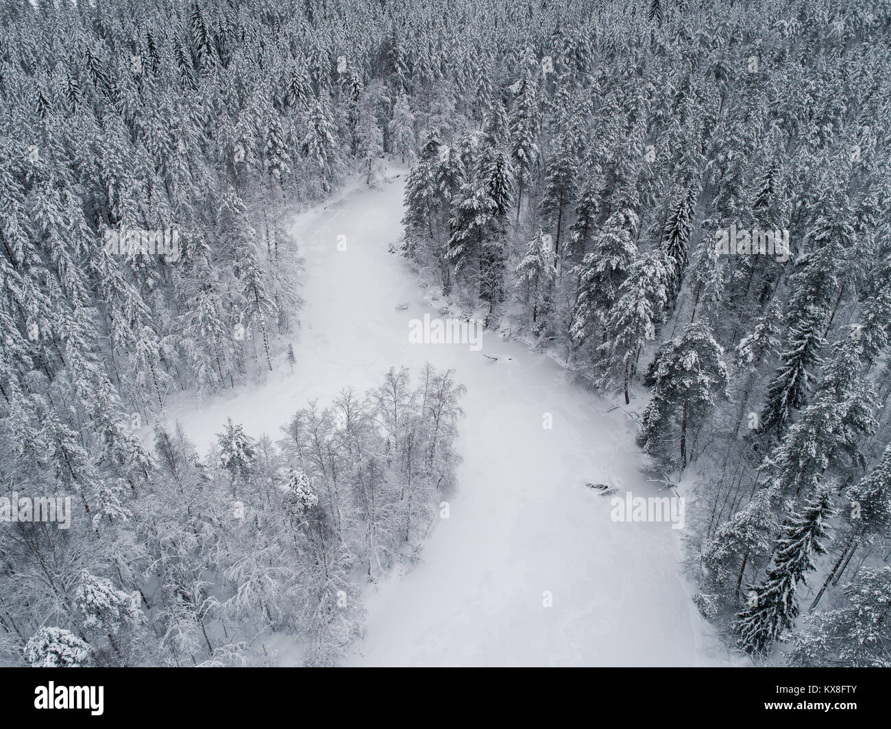 Frozen taiga forest hi-res stock photography and images - Alamy