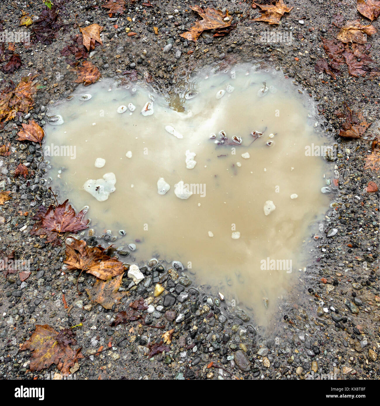 Water puddle in heart shape hi-res stock photography and images - Alamy
