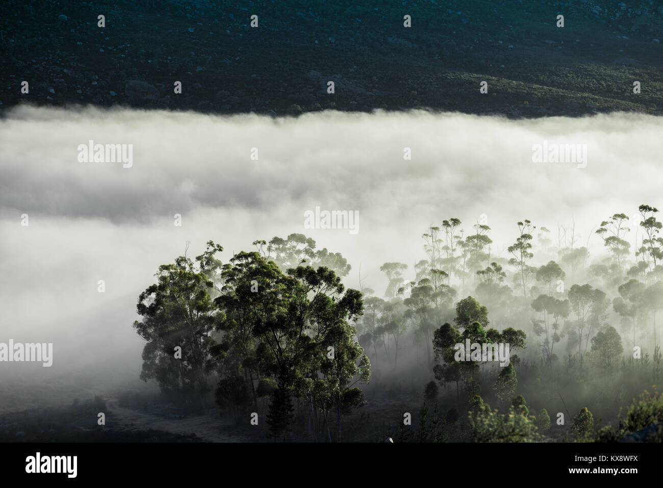 Cape supergroup hi-res stock photography and images - Alamy