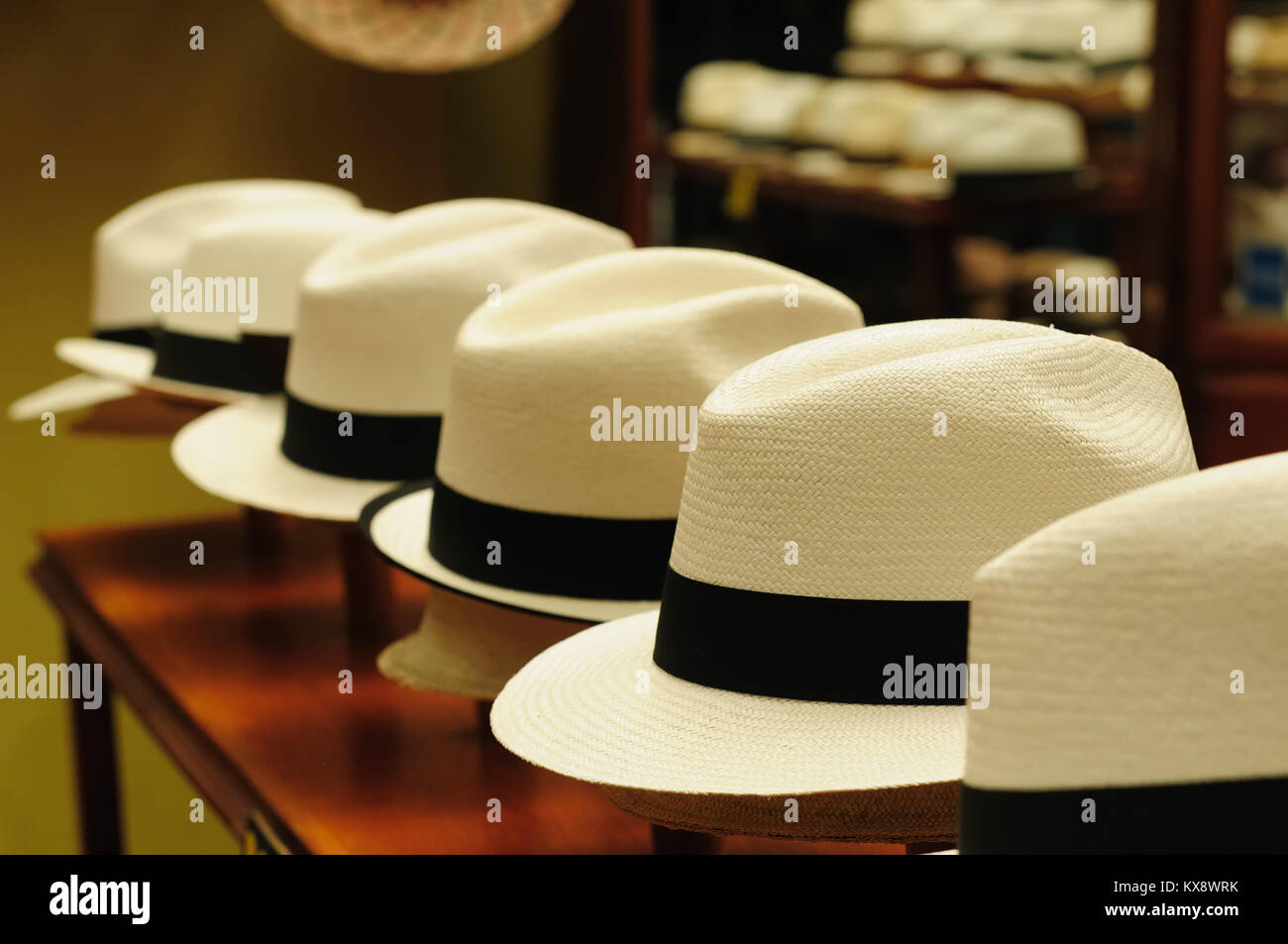 Ecuador - Panama Hats, is a traditional brimmed hat made in Cuenca ...