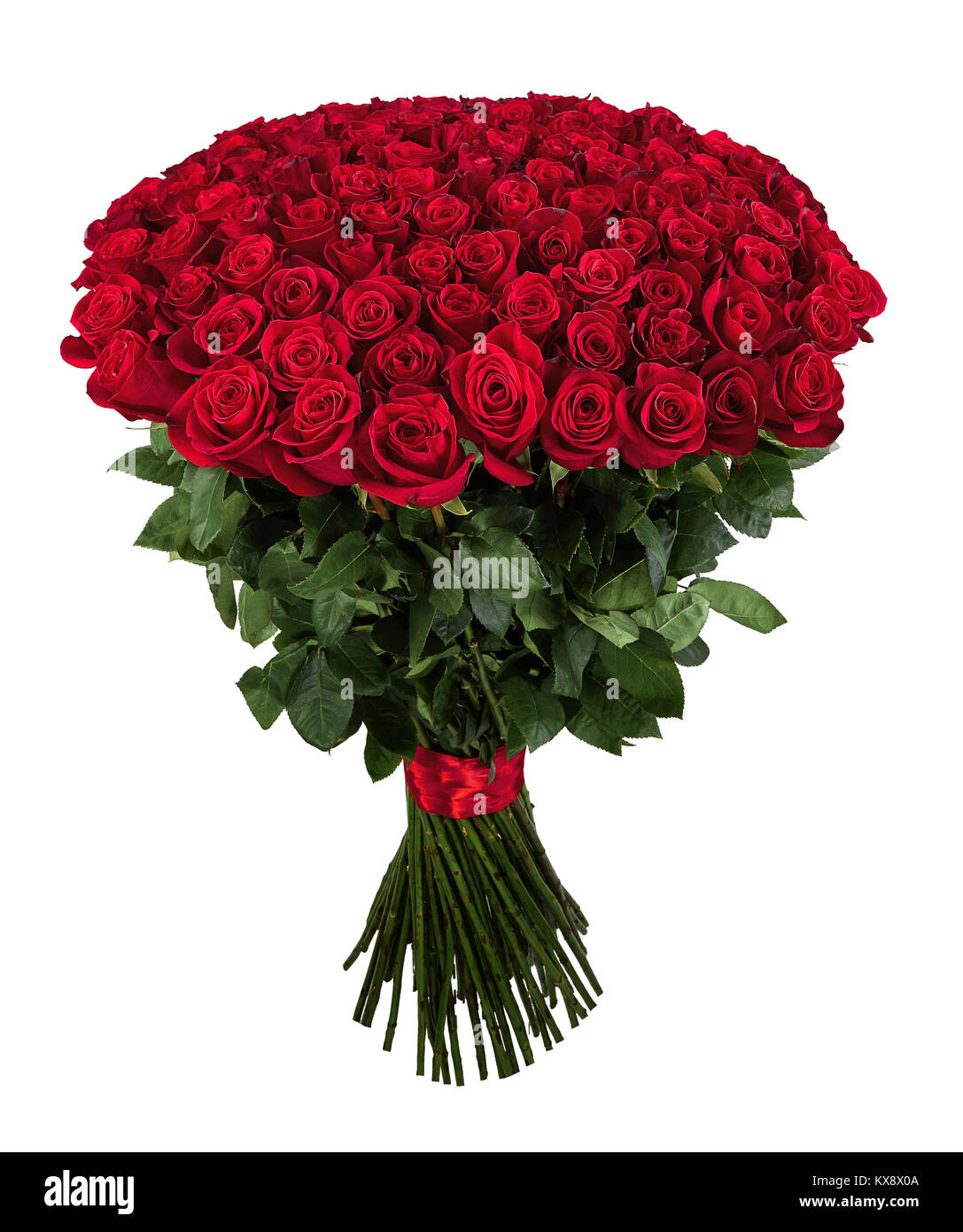 Red rose. Isolated large bouquet of 101 red rose on white Stock Photo ...