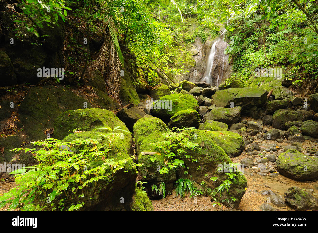 Colombia, wild Darien jungle of the Caribbean sea near Capurgana resort ...