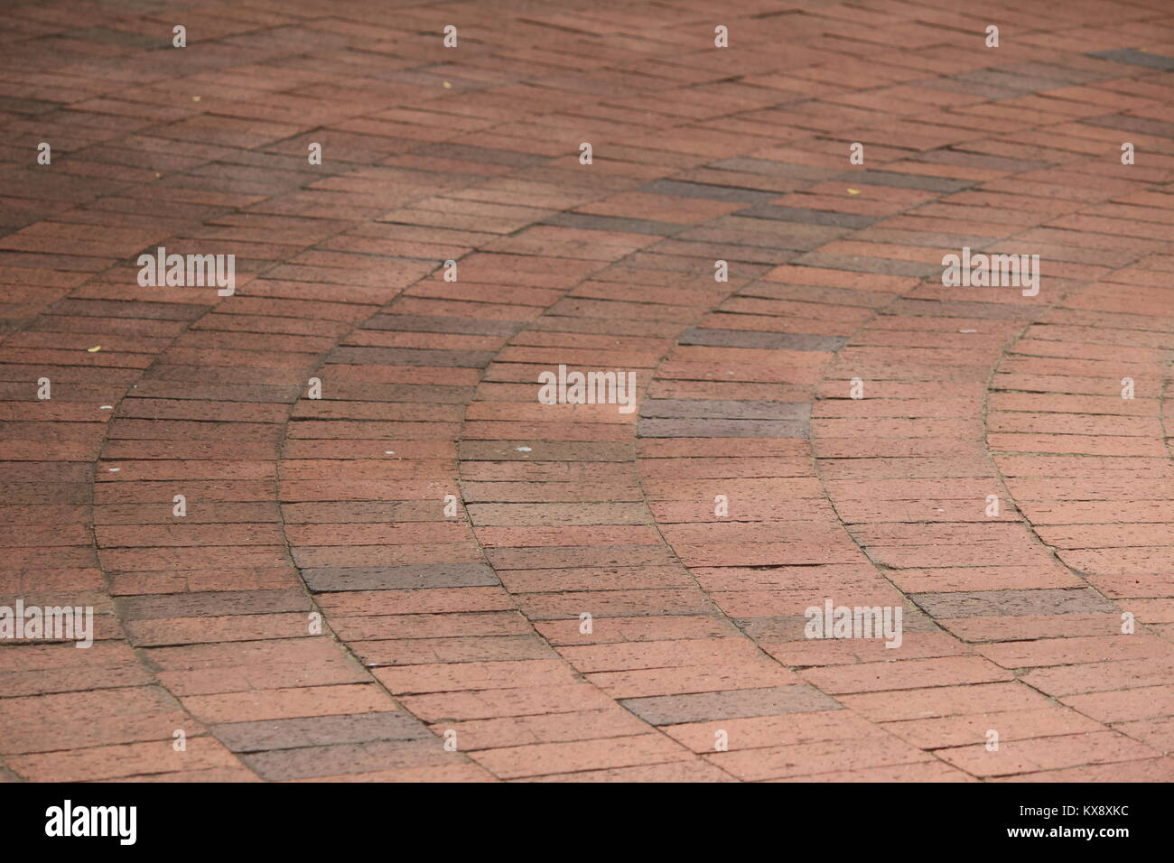 Red pavers laid in radial pattern in Commonwealth Park, Canberra, ACT ...