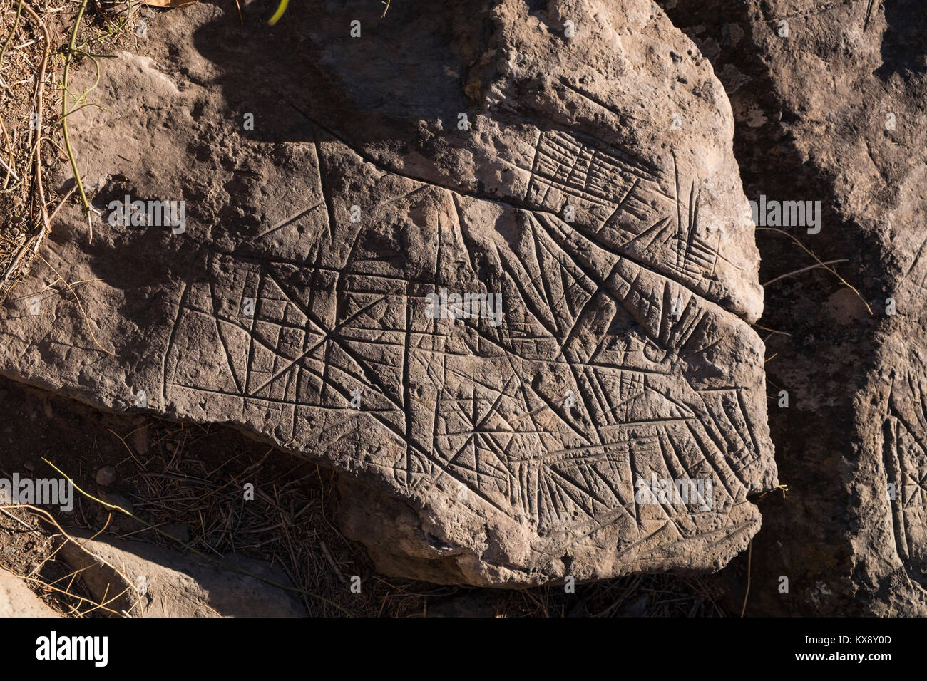 Ancient Guanche rock markings along the route from Aldea Blanca to San ...