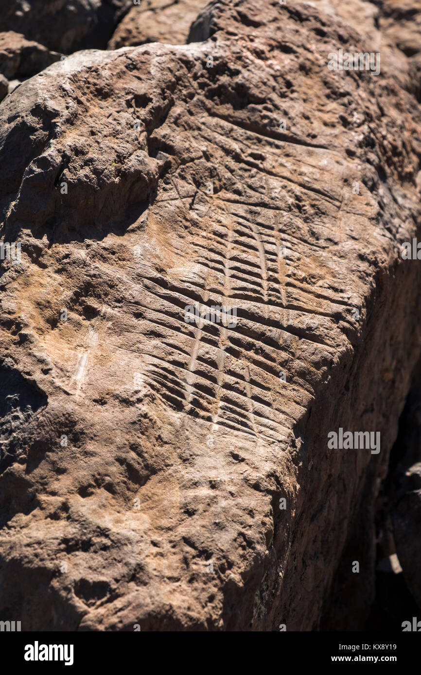 Ancient Guanche rock markings along the route from Aldea Blanca to San ...