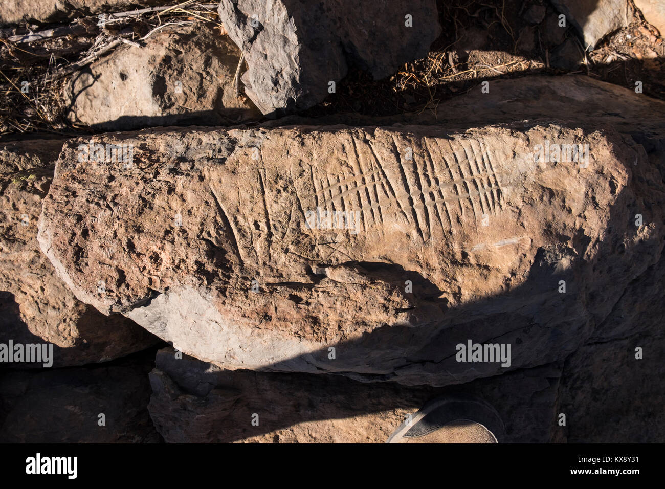 Ancient Guanche rock markings along the route from Aldea Blanca to San ...