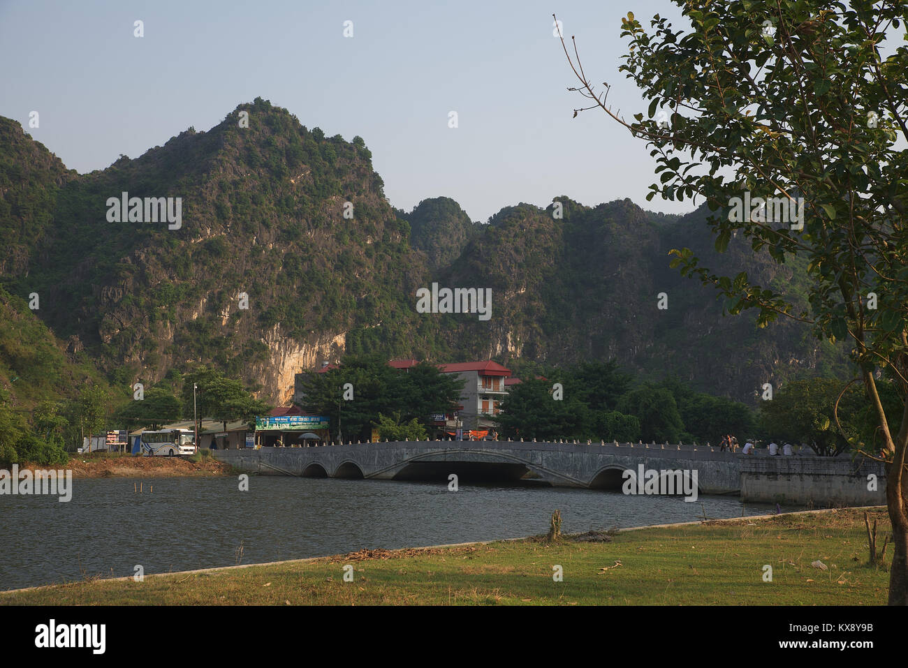 Hoa lua hi-res stock photography and images - Alamy