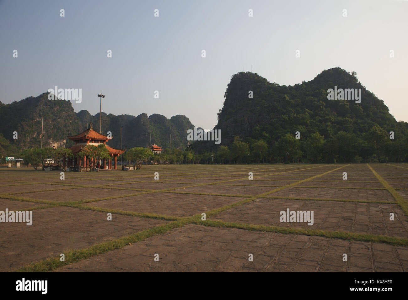 Hoa lua hi-res stock photography and images - Alamy